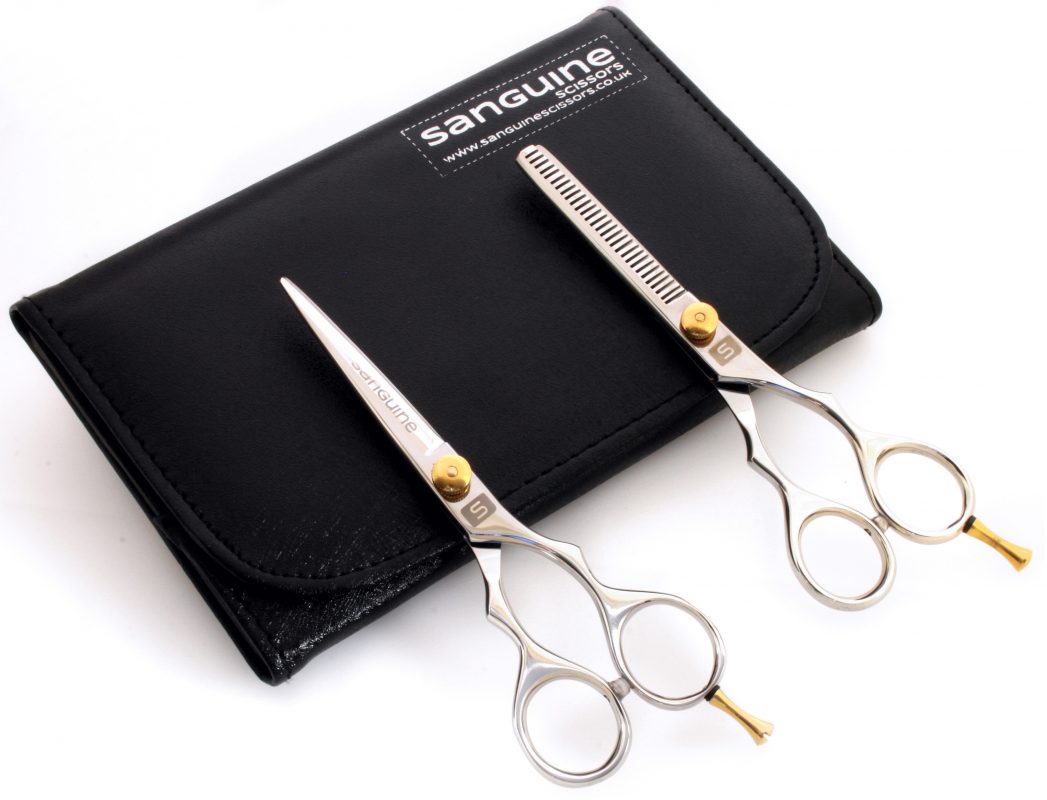 Set of Hair Scissors and Hairdressing Thinning Scissors, 5.5 inch ...